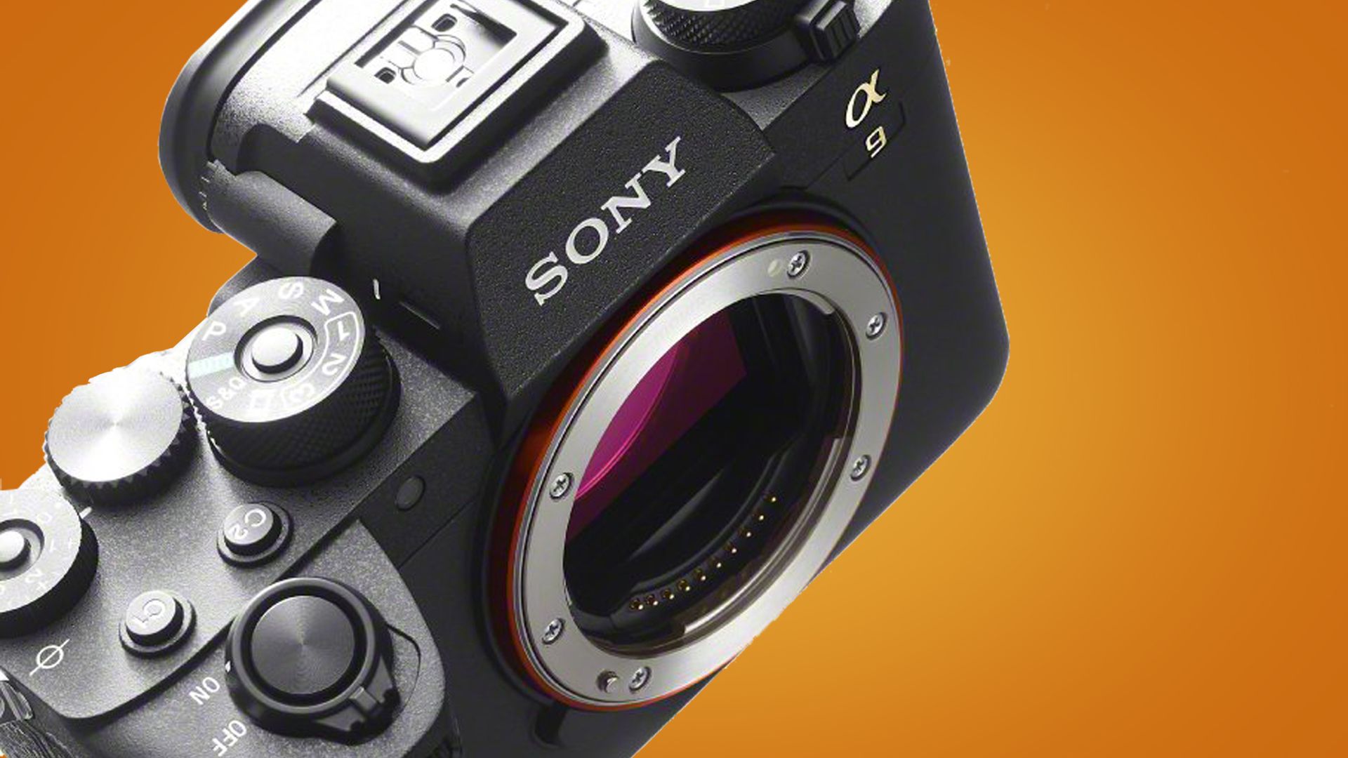 Sony’s next four mirrorless cameras could include the world’s fastest ...