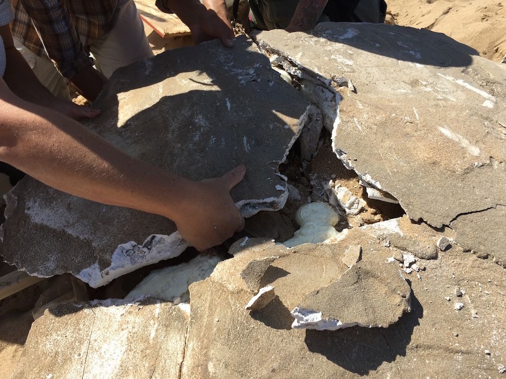 Photos: 1920s Hollywood sphinx goes on display | Live Science