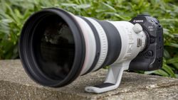 Nikon shutter type options explained - which do you choose when ...