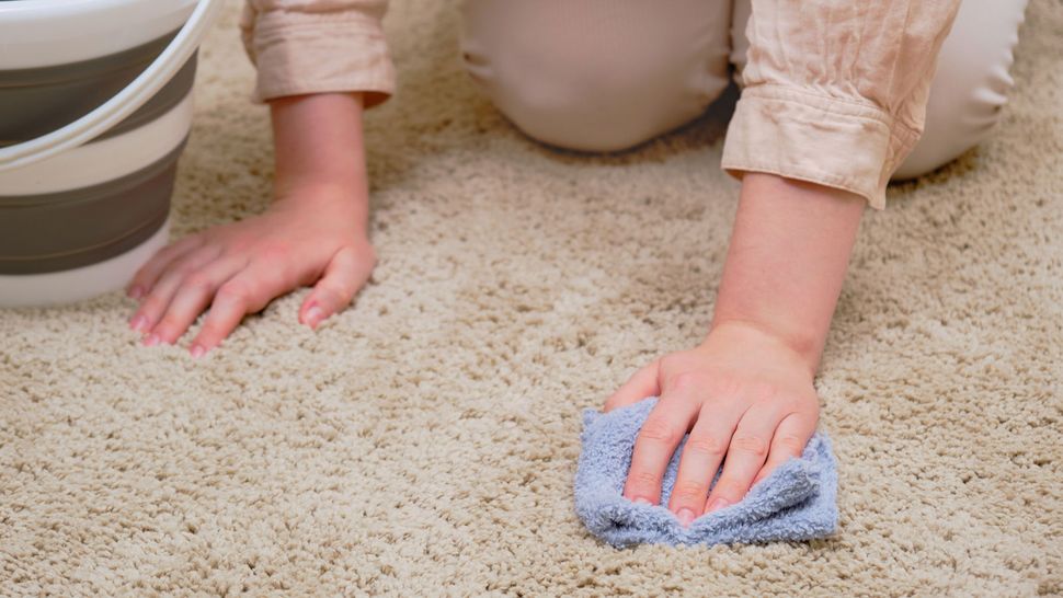 How to clean carpet properly without calling in the pros | Homebuilding