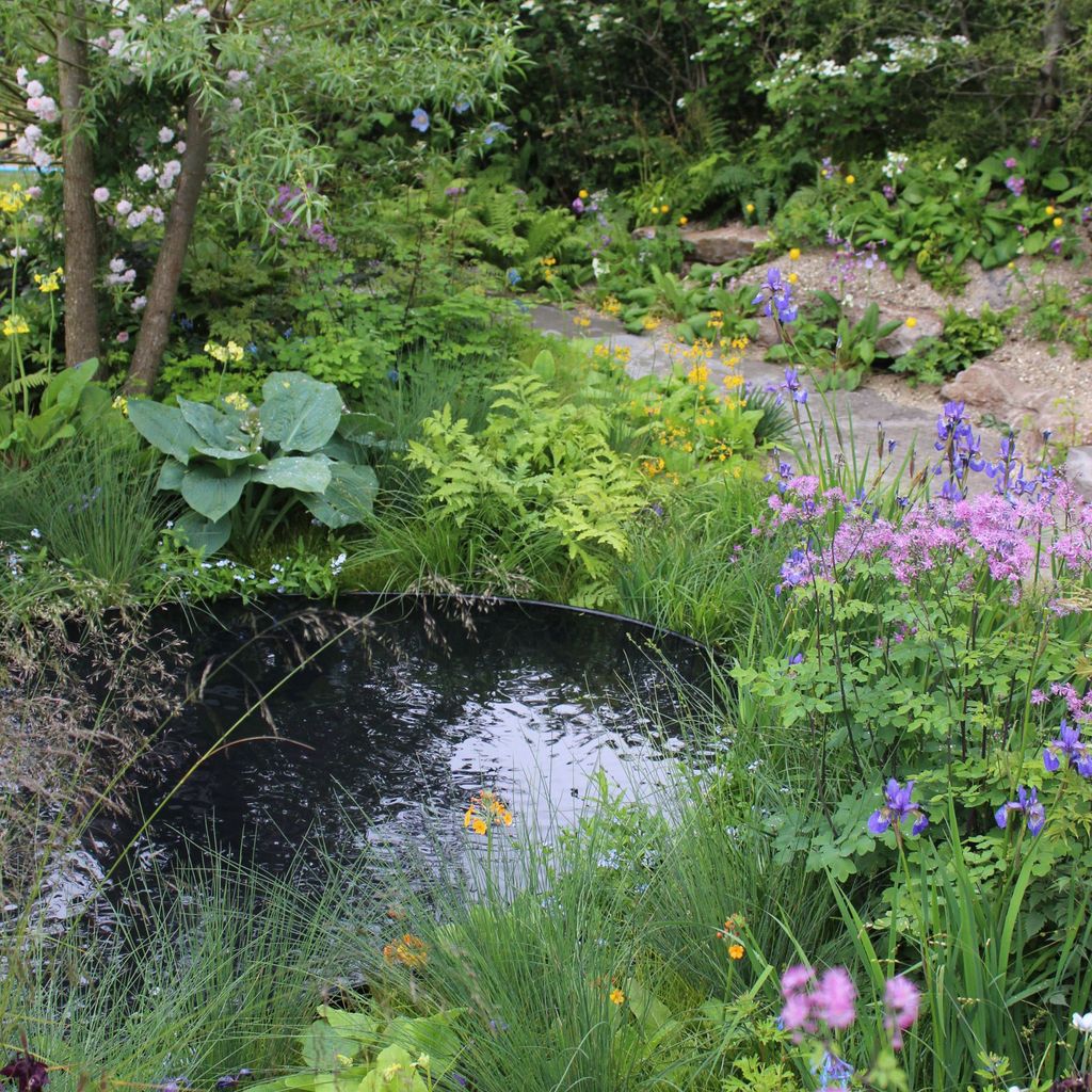 What to do with a pond in winter | Ideal Home