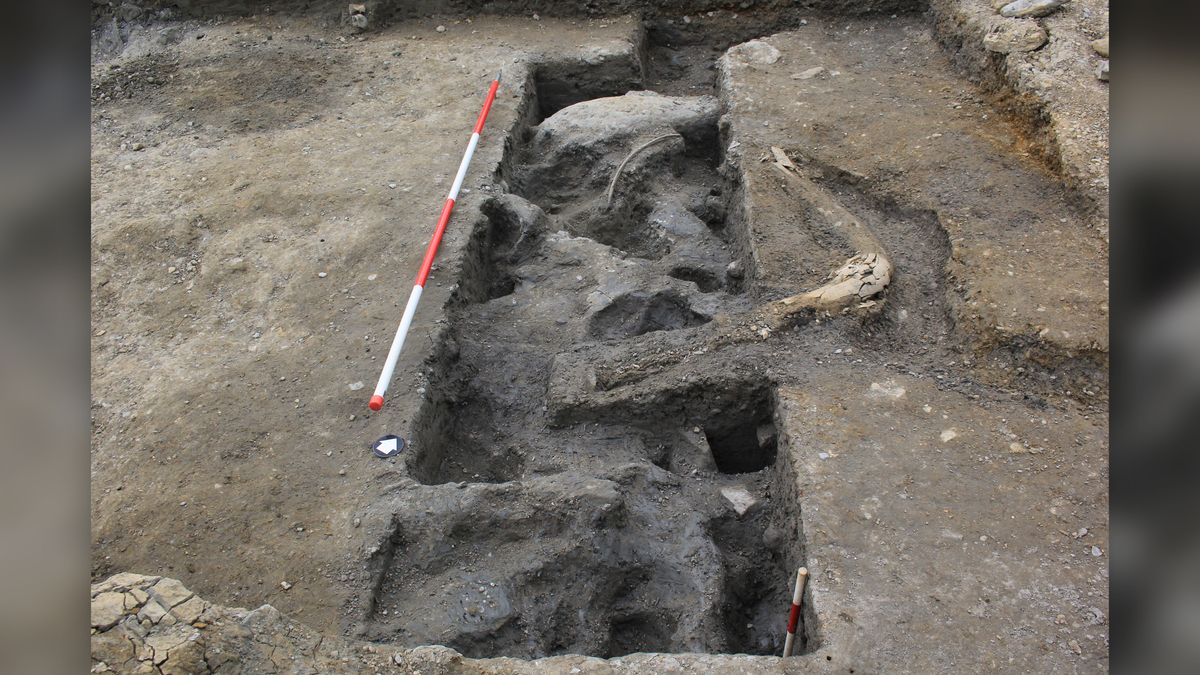 200,000-year-old 'mammoth graveyard' found in UK | Live Science