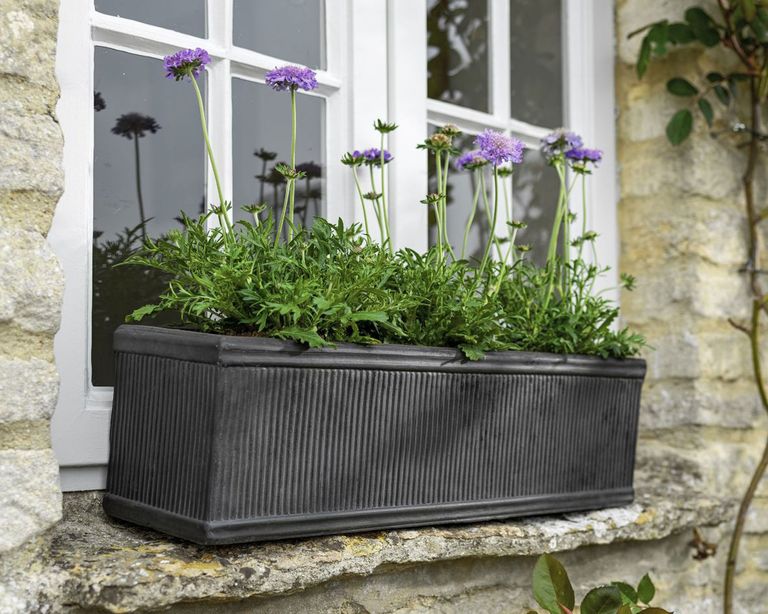 Summer container planting ideas: 11 seasonal looks | Homes and Gardens