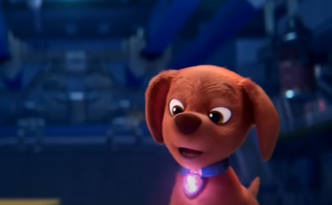 Paw Patrol: The Mighty Movie Cast: Where You've Seen And Heard The ...