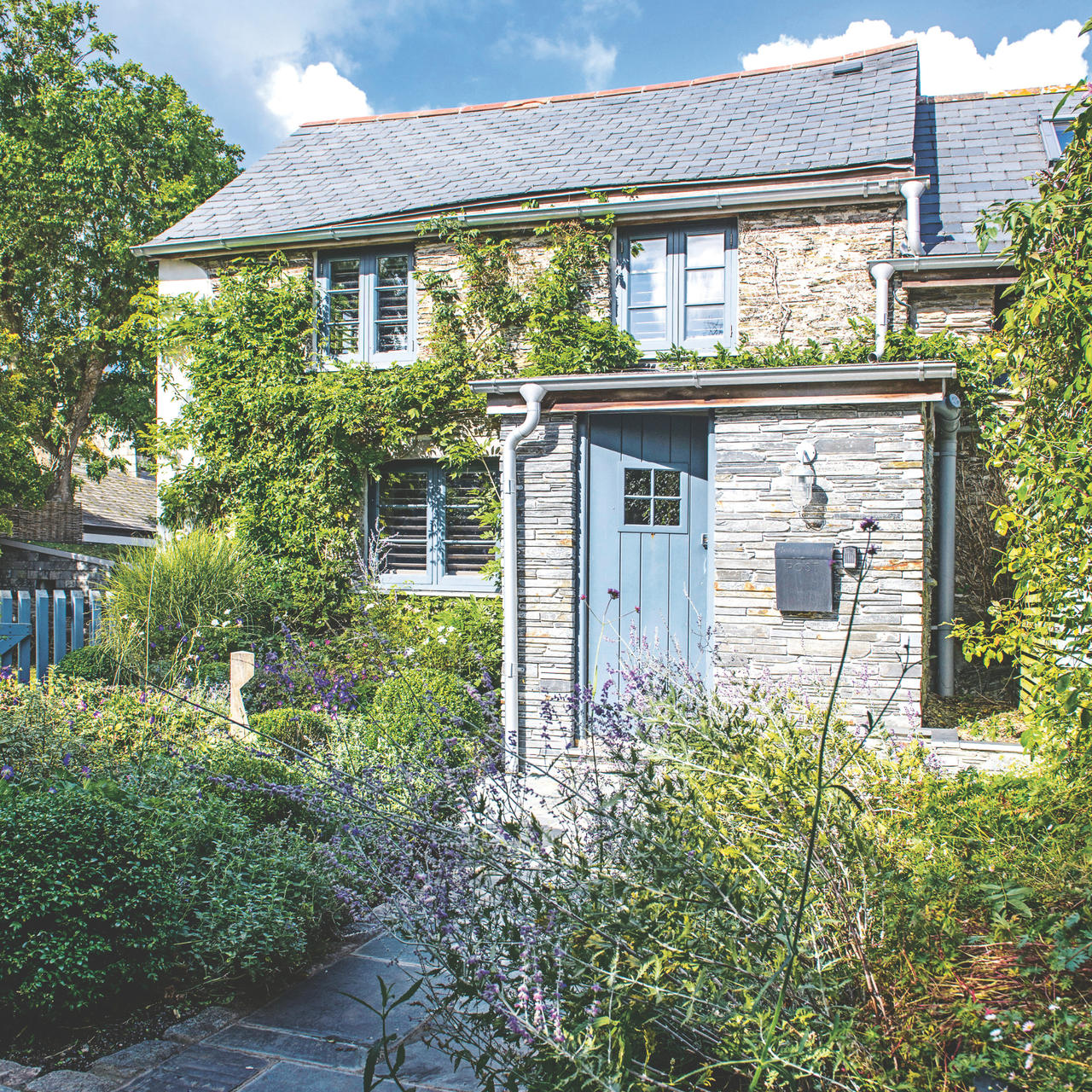 How to remove ivy from a house | Ideal Home