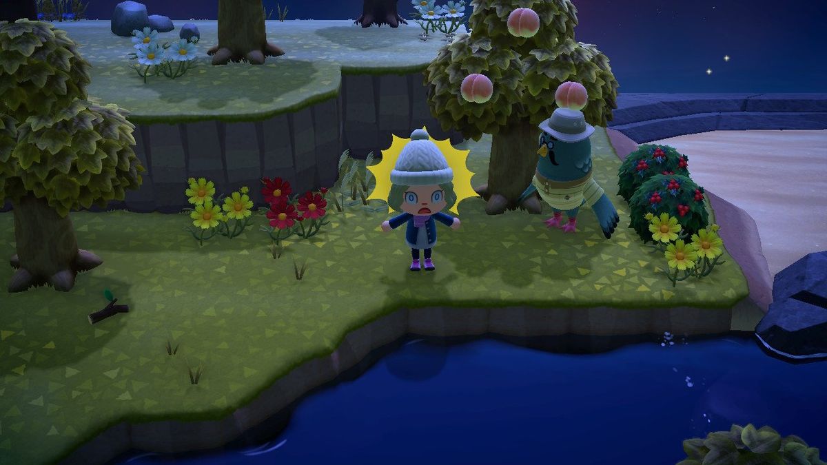 Animal Crossing: New Horizons — Brewster & The Roost guide | iMore