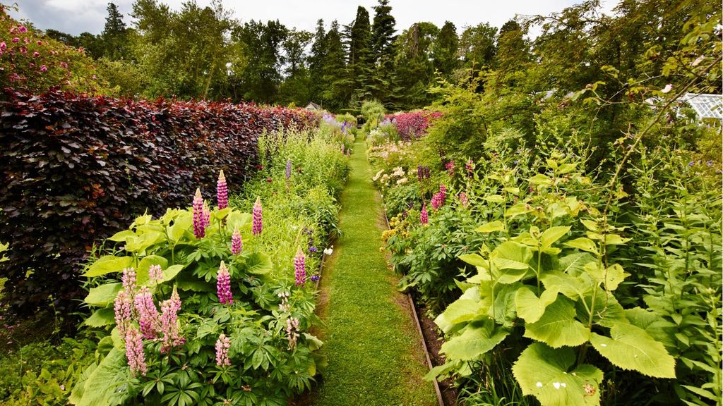 Discover where to begin with matrix planting | Homes and Gardens