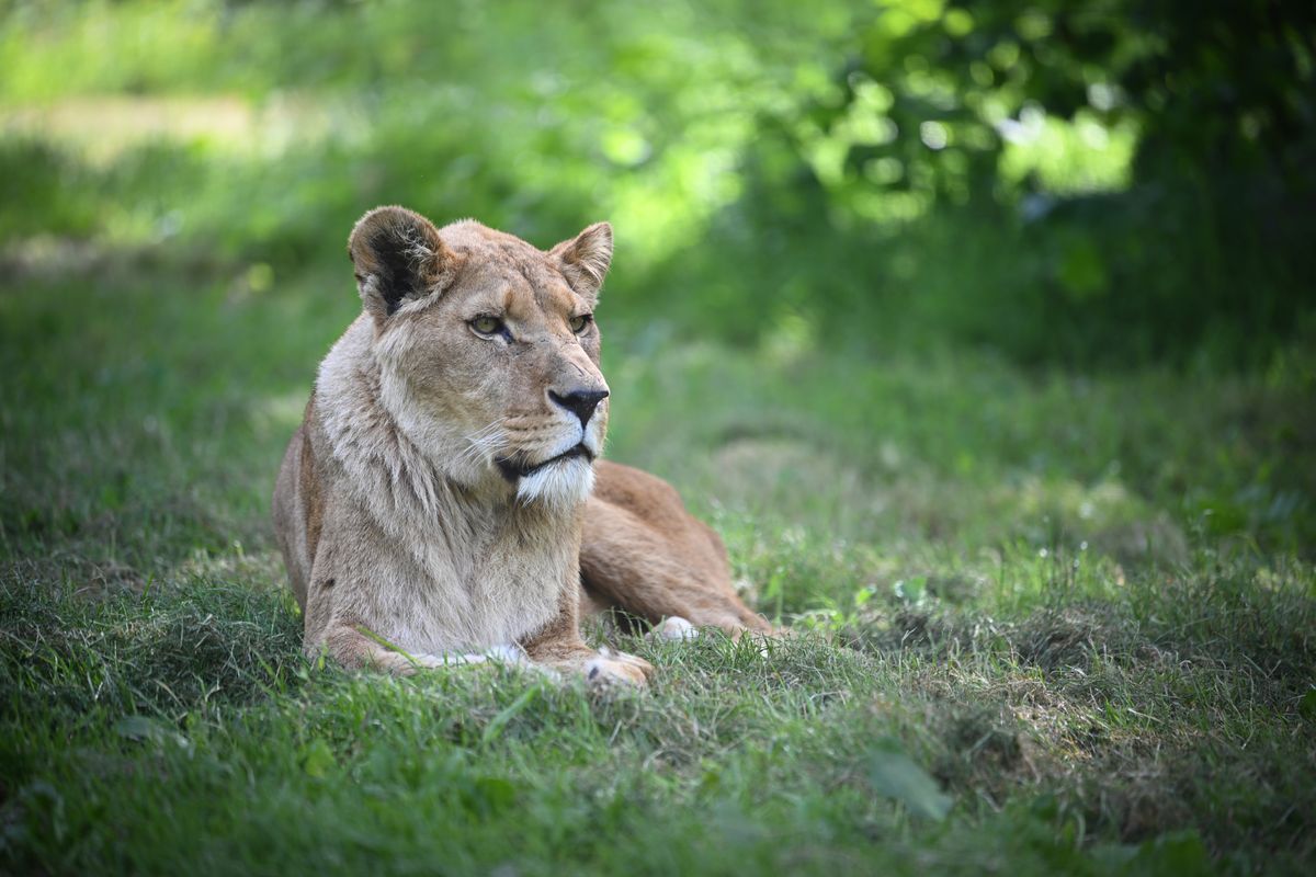 Nikon Z8 review | Digital Camera World