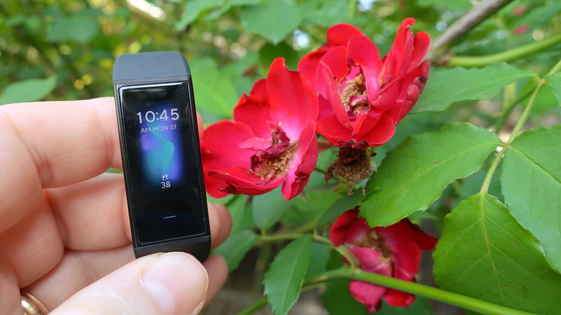 Wyze Band review: A worthy $30 fitness tracker with Alexa onboard ...