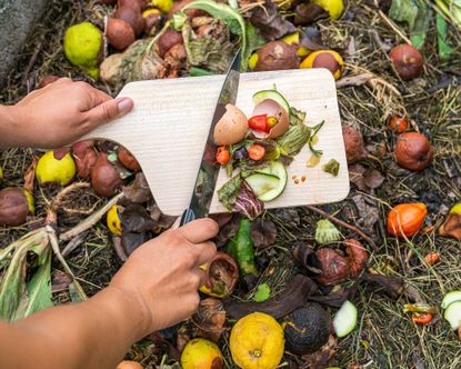 What is peat-free compost and why should I buy it? Our guide explains ...