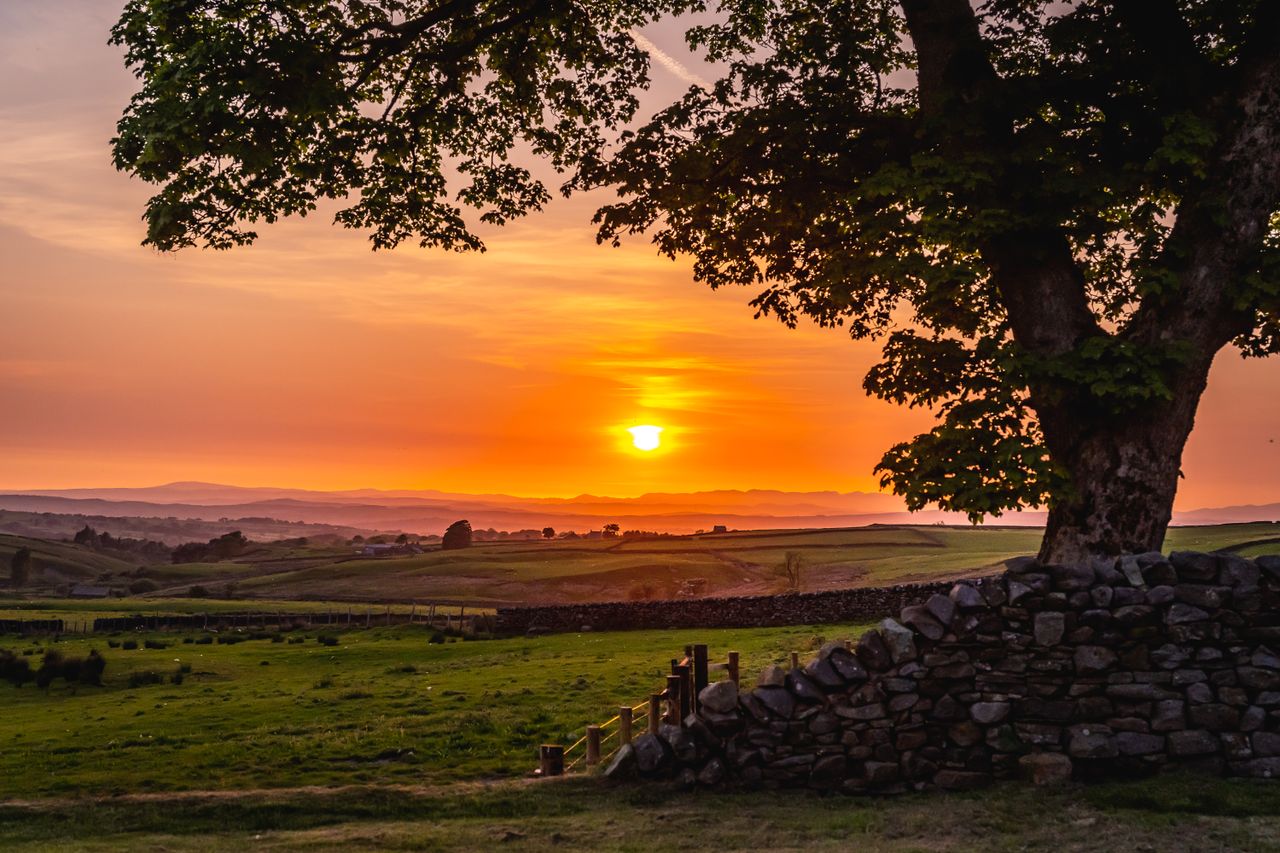 Isabella Tree on how rewilding took the Knepp Estate from a ruin in the ...