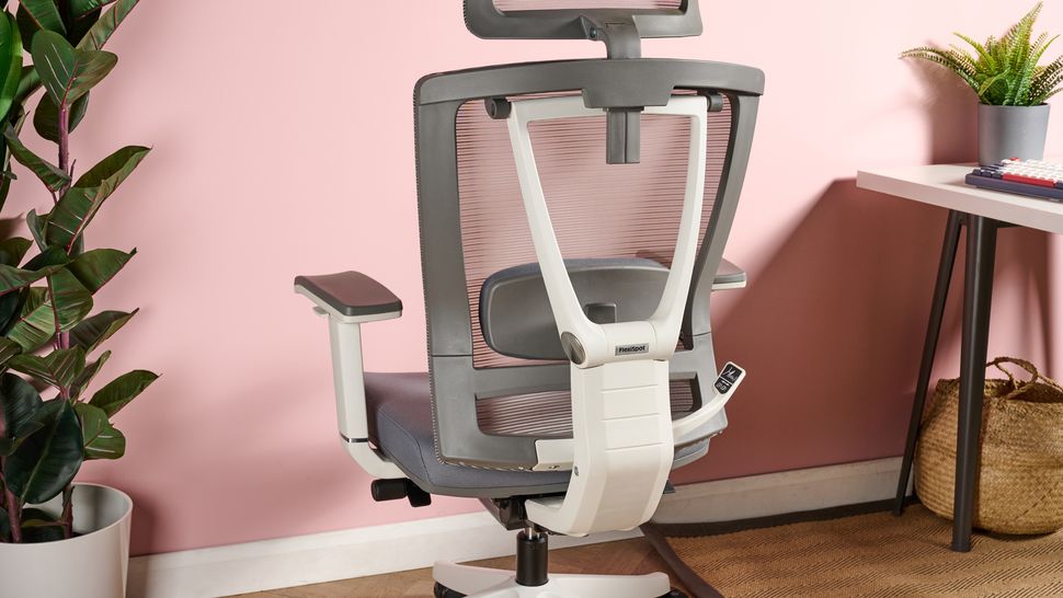 FlexiSpot Ergonomic Office Chair BS14 review: so comfortable and easy ...