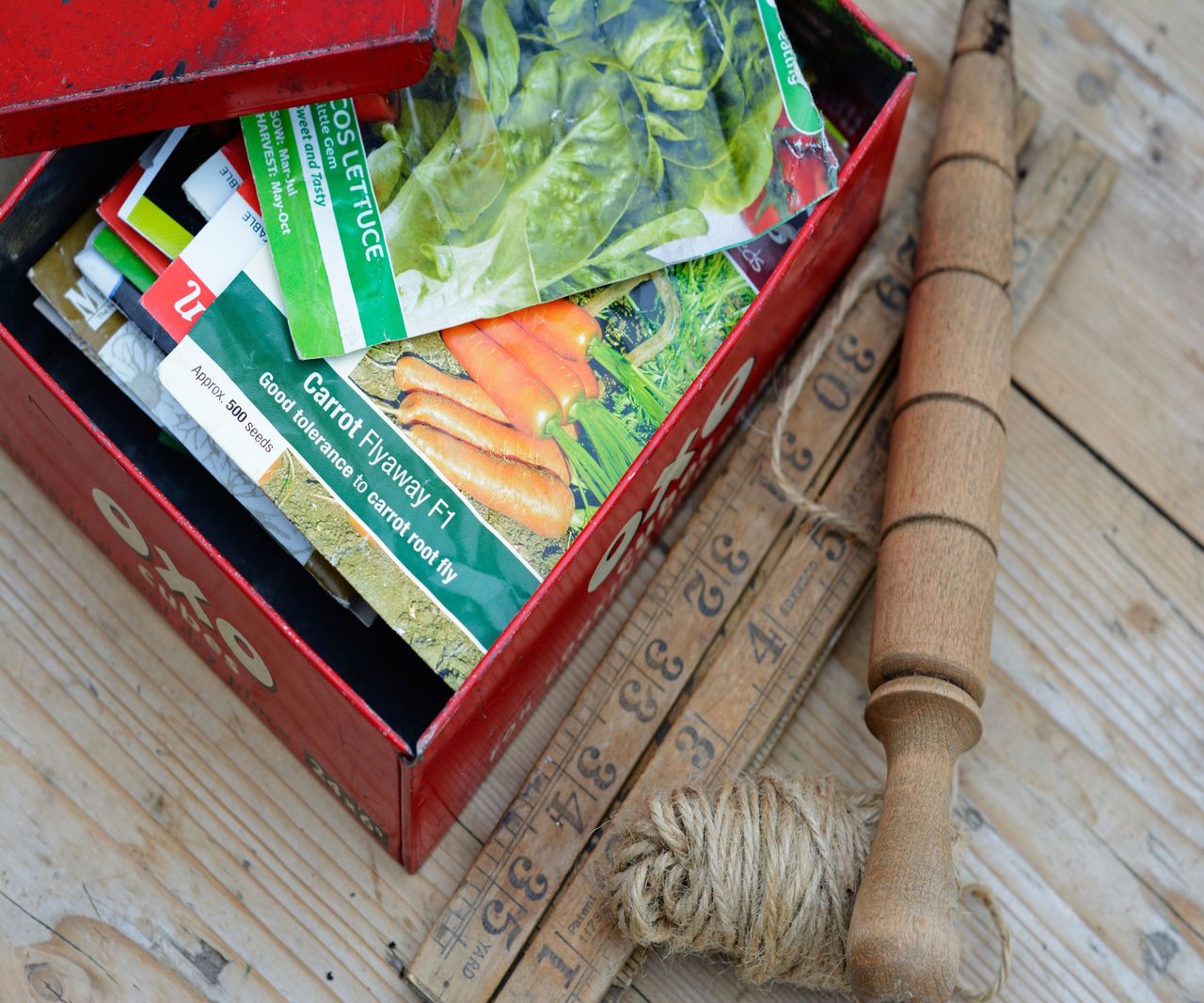 How to sow seeds indoors: tips from a professional gardener | Homes and ...