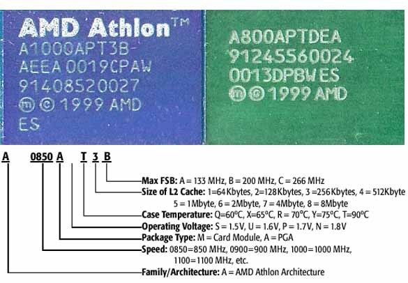 AMD's Thunderbird finally fully fledged | Tom's Hardware