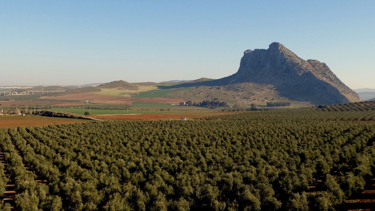 5,400-year-old tomb discovered in Spain perfectly captures the summer ...