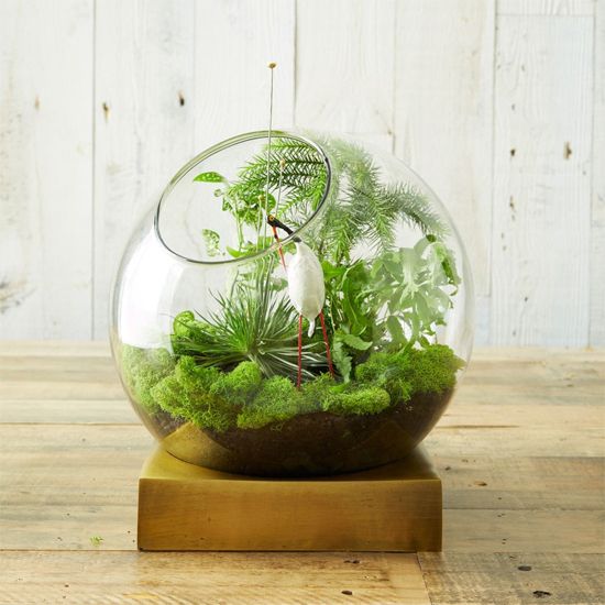 Top 10 Terrariums | Ideal Home