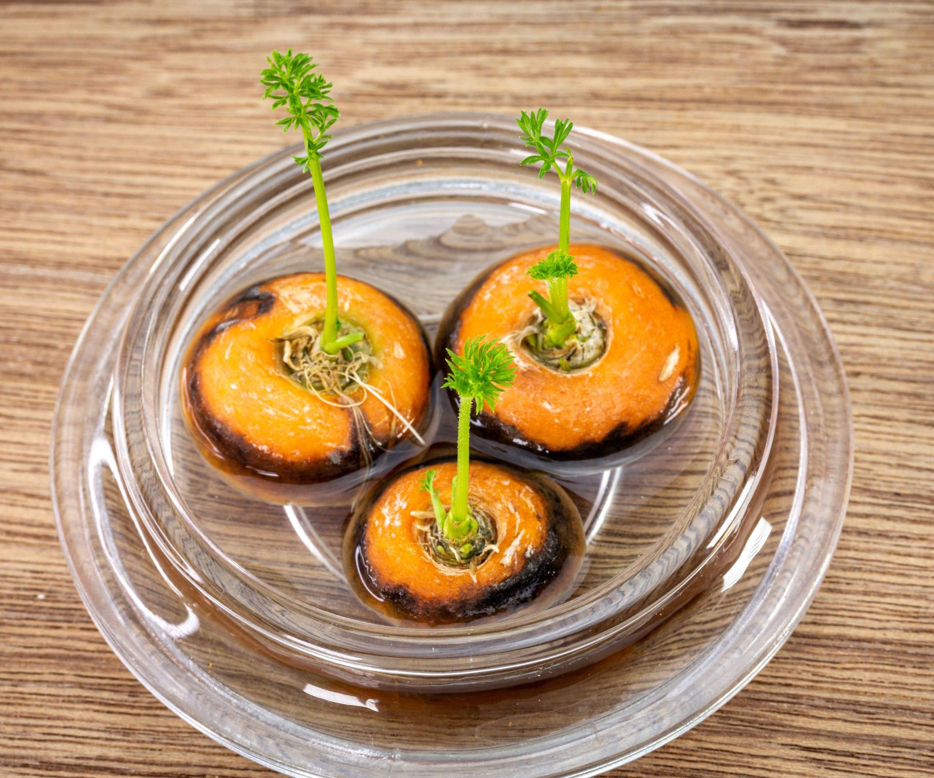 How to grow carrots from carrot tops: a fun family project | Homes and ...