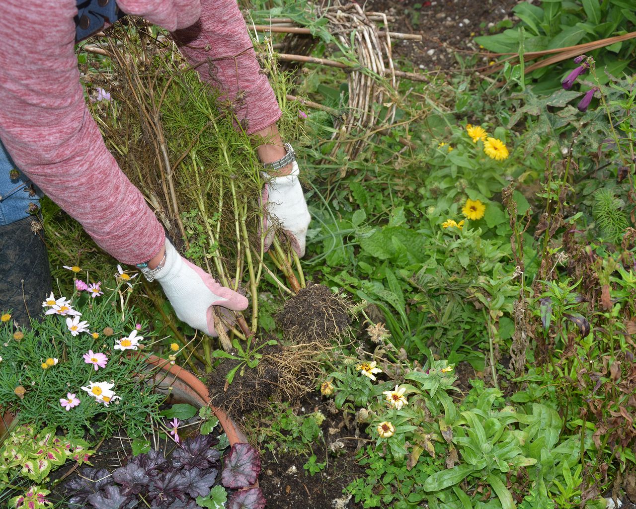 September gardening jobs: 18 easy tasks | Gardeningetc