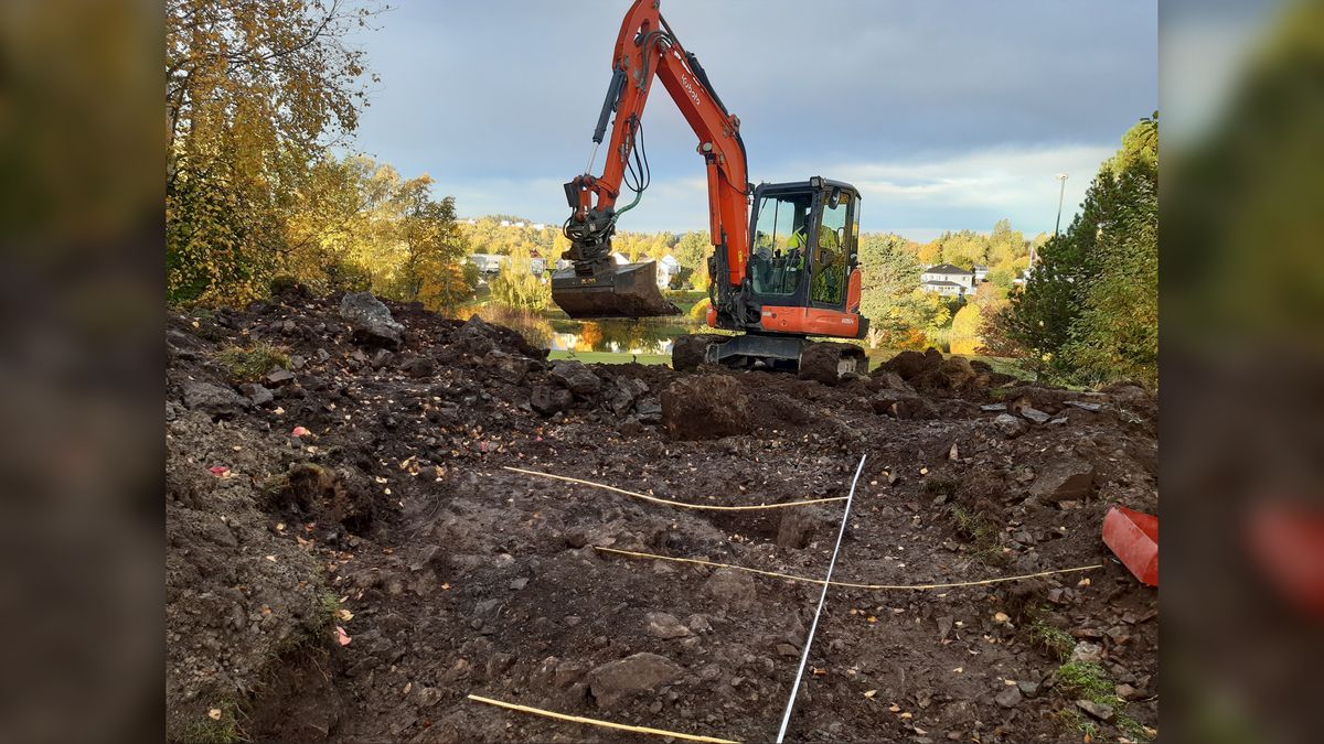 Rare, 'high-status' Viking burial unearthed in a garden in Oslo | Live ...