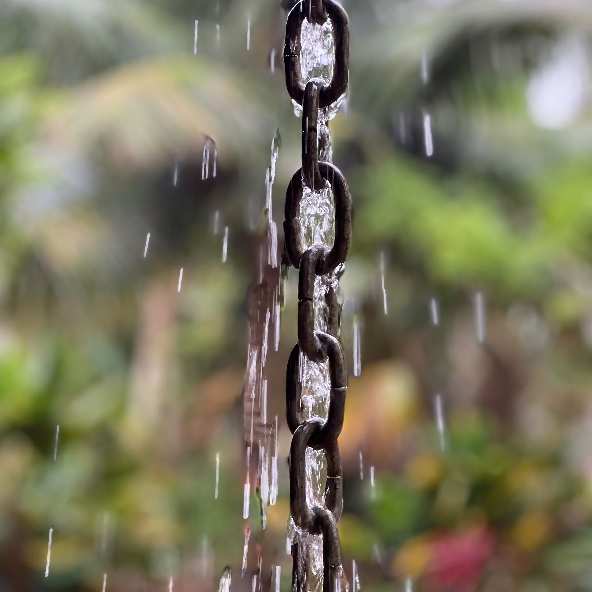 How and where to hang a rain chain – expert approved tips | Ideal Home