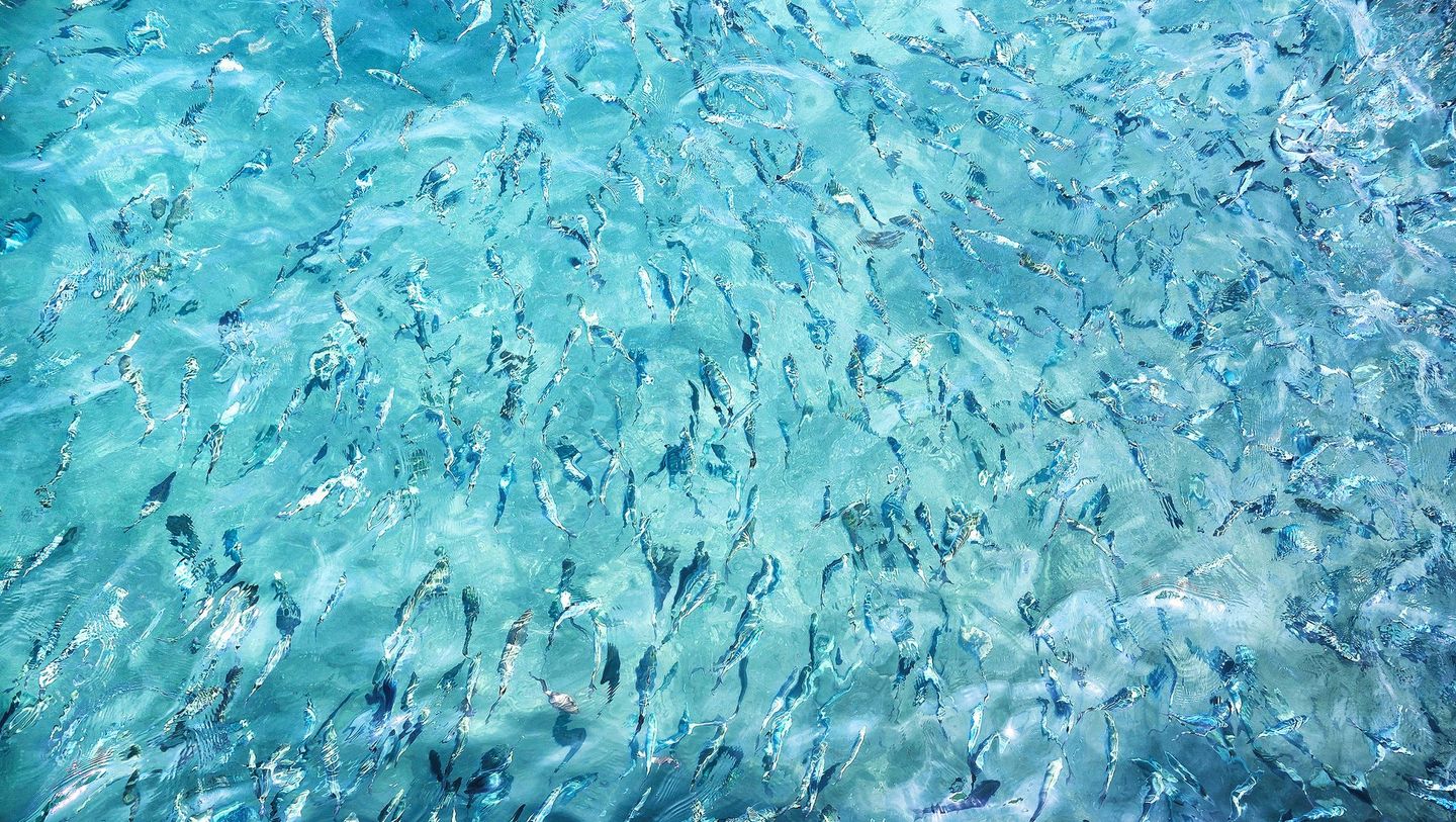 Jeans Using Less Water - How the Denim Industry is Becoming More Eco ...