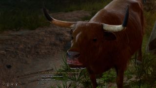 Baldur's Gate 3 Strange Ox: What is it? | PC Gamer
