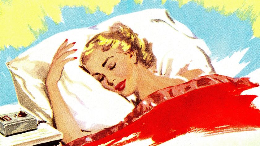 Do Trees Sleep at Night? | Live Science