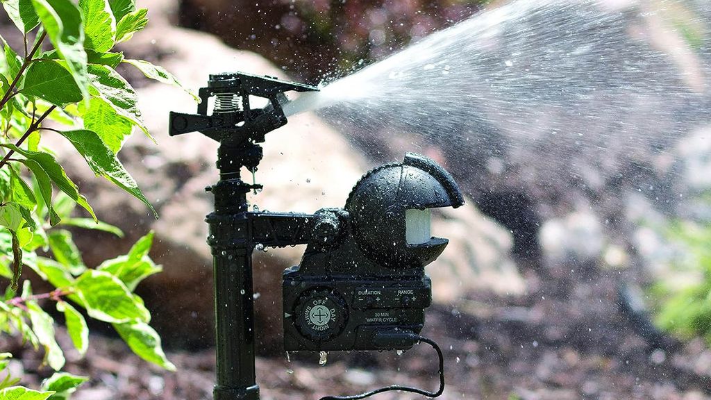 5 things to consider before buying a water sprinkler system, according ...