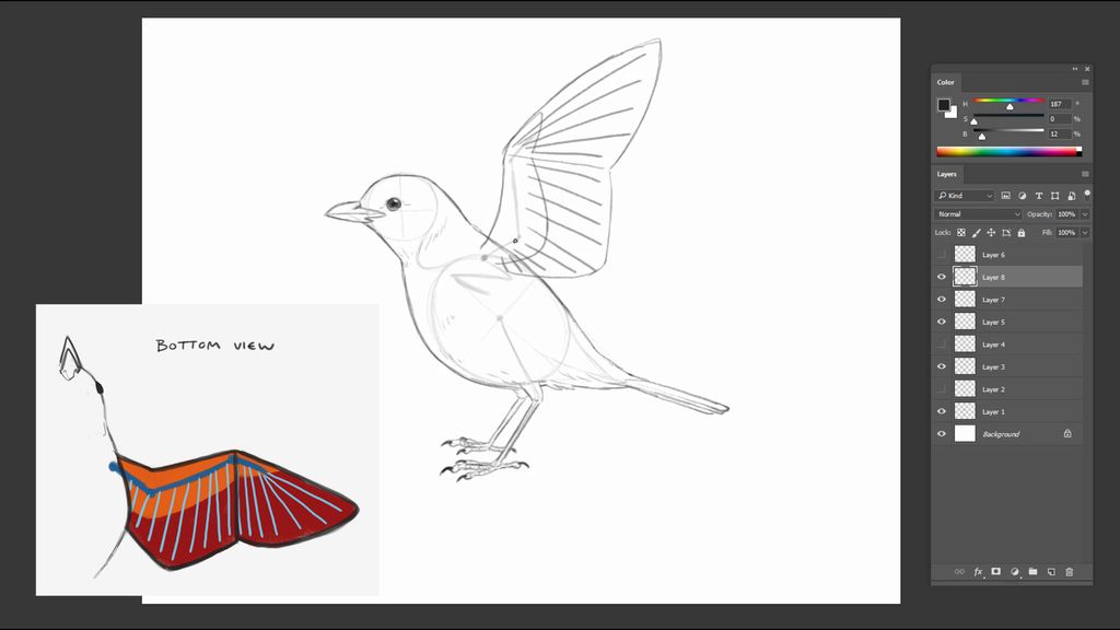 How to draw a bird | Creative Bloq