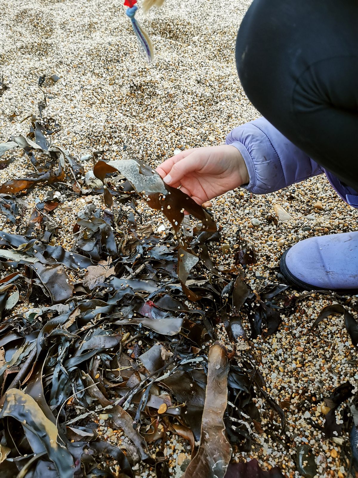 How to shoot a flat lay featuring ingredients from nature | Digital ...