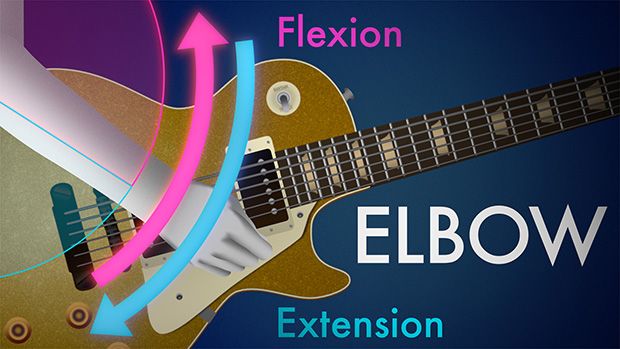 Guitar Anatomy: Four Fundamental Movements Every Guitarist Should Know ...