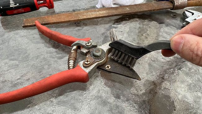 How to sharpen pruning shears in 7 simple steps | Tom's Guide