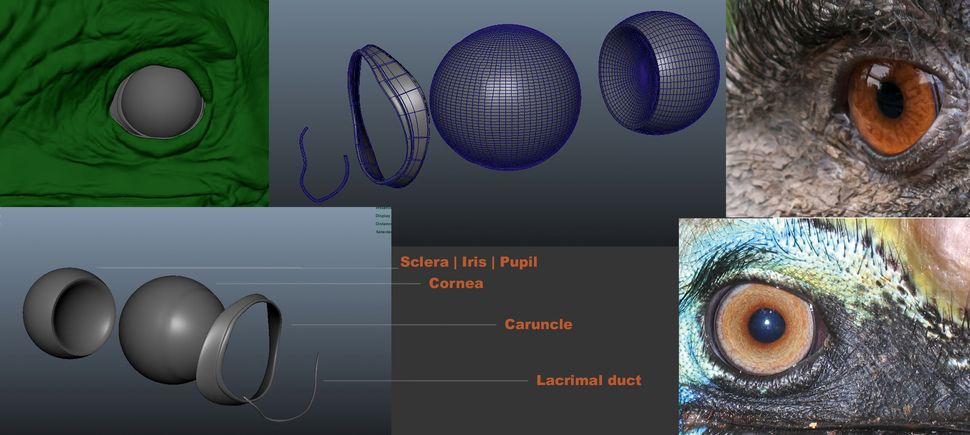 How to create realistic wildlife textures | Creative Bloq