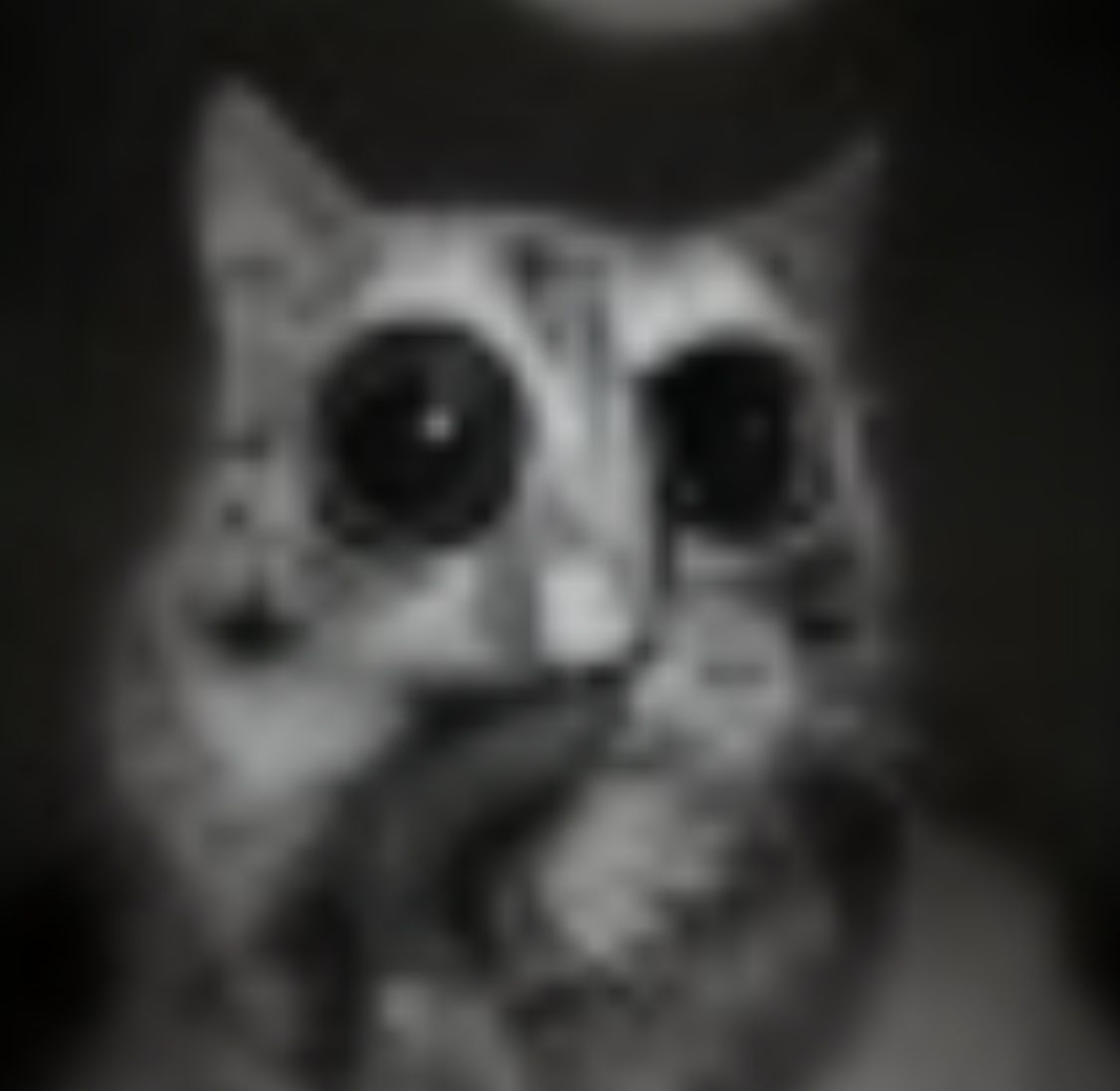 Nvidia's AI is generating totally believable human faces, completely ...