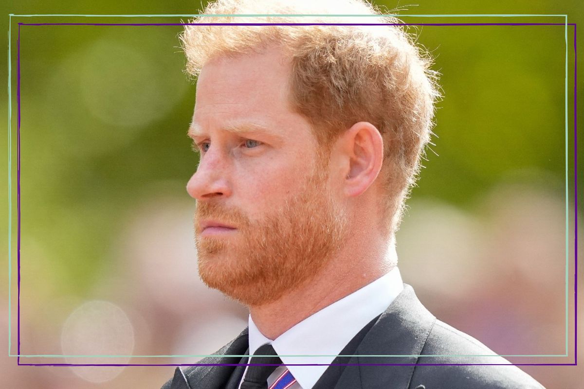 Prince Harry says 'we basically have five children' as he reveals ...