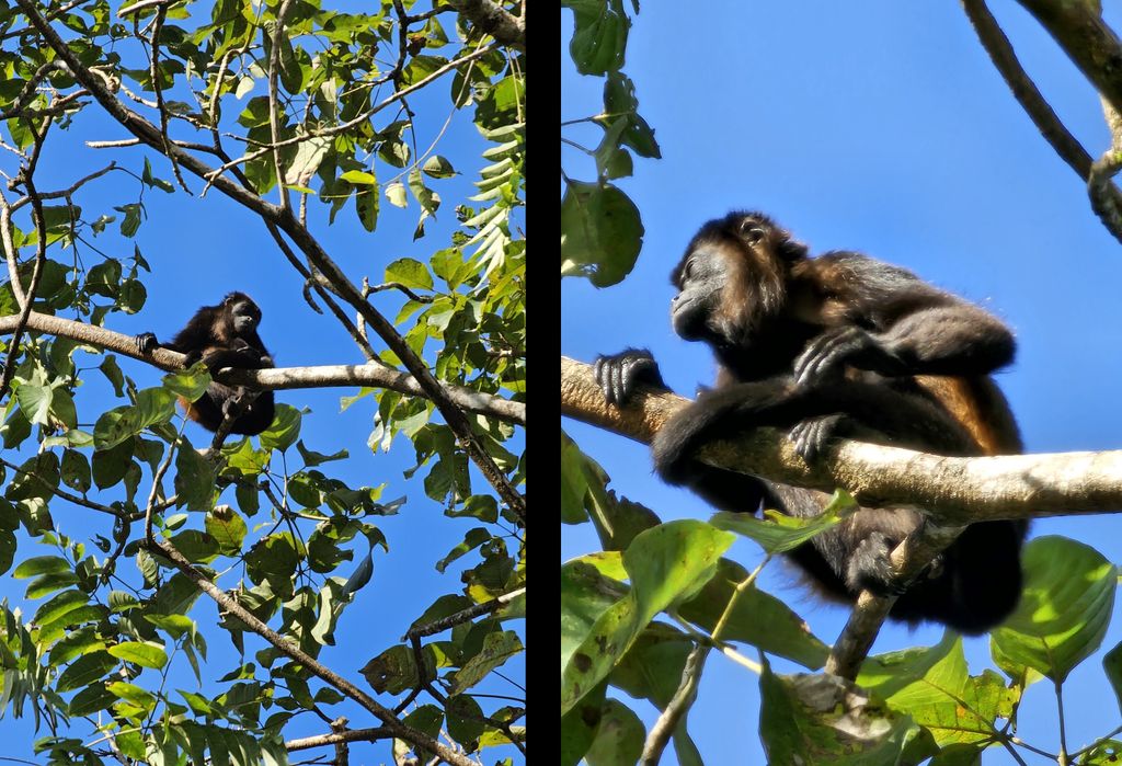 New Samsung Galaxy S23 Ultra photo samples reveal very powerful cameras ...