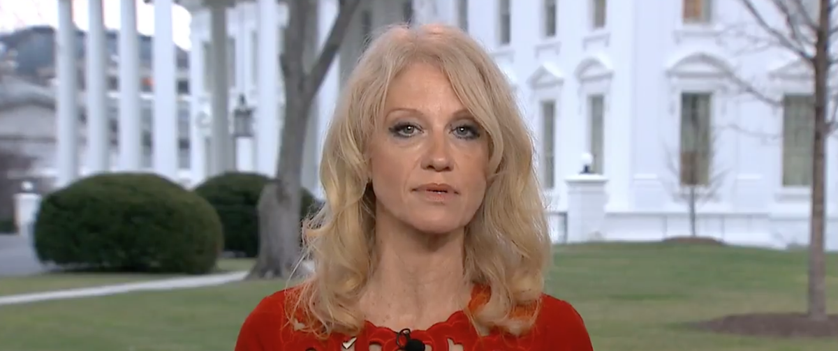 Kellyanne Conway struggles to explain why it took so long for Michael ...