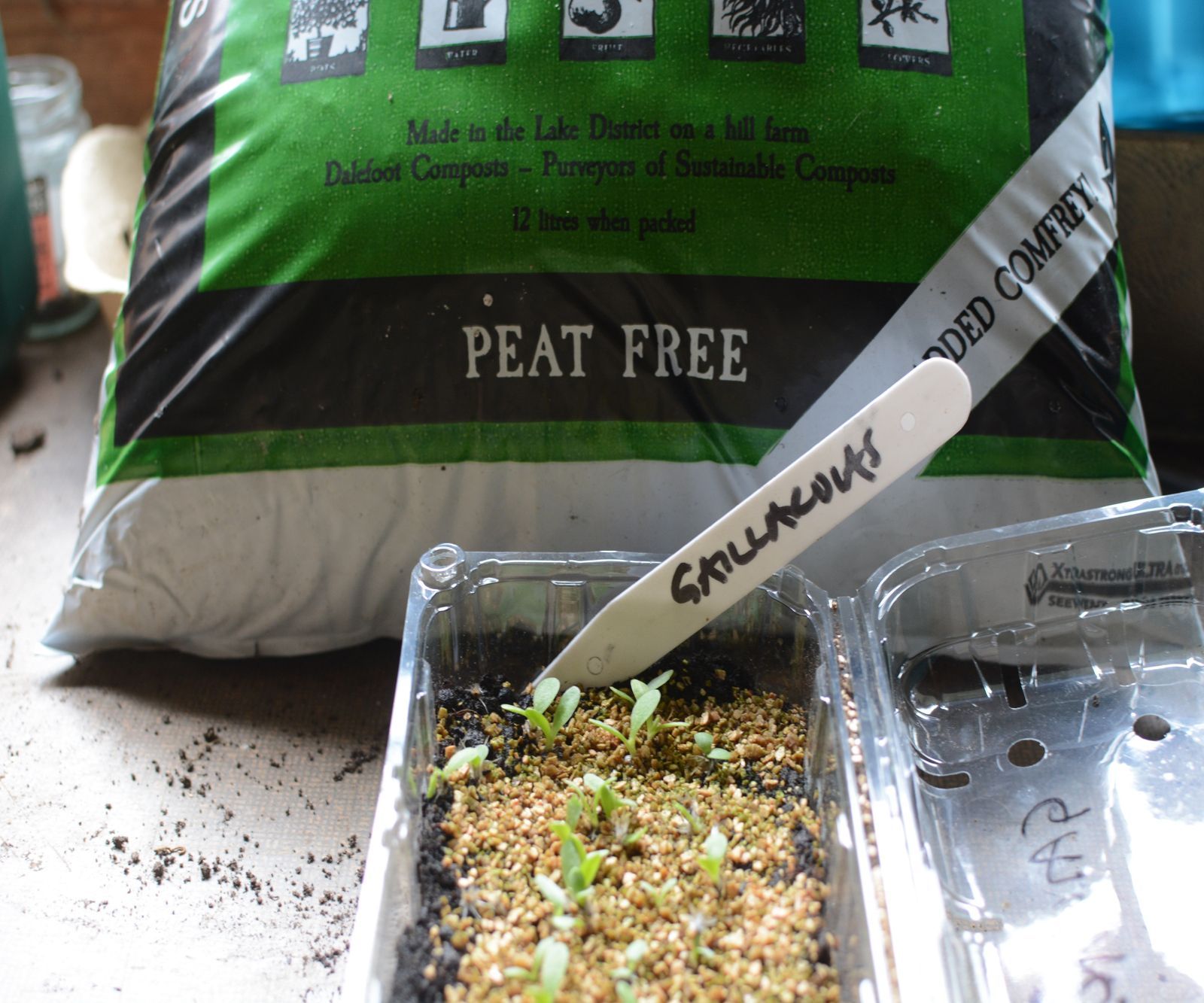Peat-free compost options: how to make the right choice | Homes and Gardens