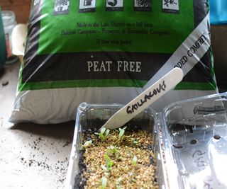 Peat-free compost options: how to make the right choice | Homes and Gardens