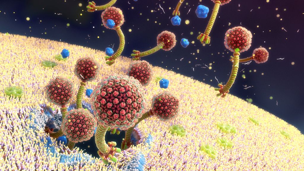 Going Viral: 6 New Findings about Viruses | Live Science