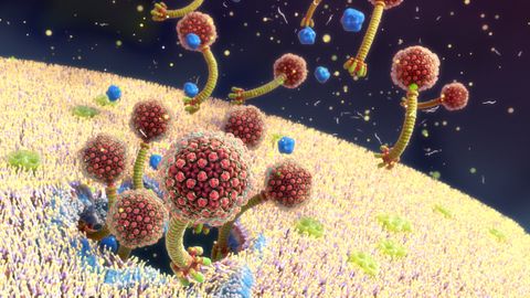 Going Viral: 6 New Findings about Viruses | Live Science