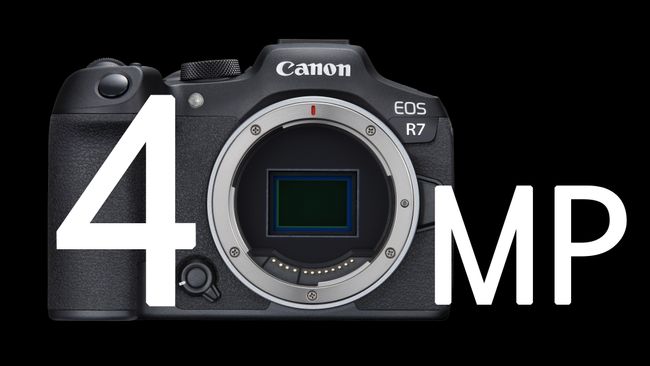 How to find your Canon camera shutter count in TWO simple steps ...