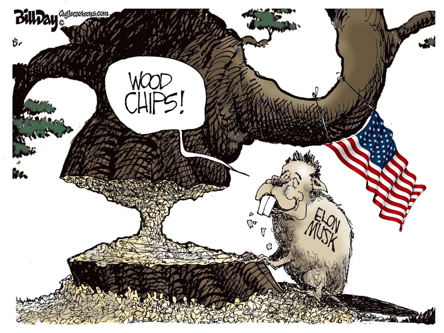 Today's political cartoons - February 12, 2025 | The Week