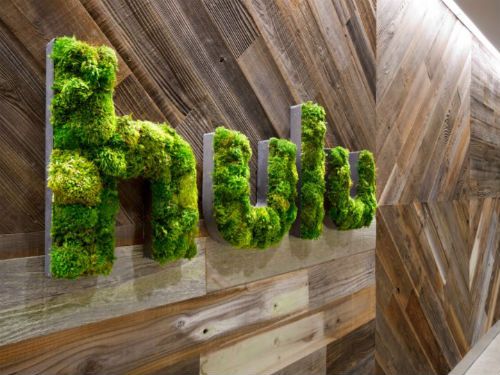Hulu Opens ‘Viewer Operations Experience’ Office in San Antonio | Next ...