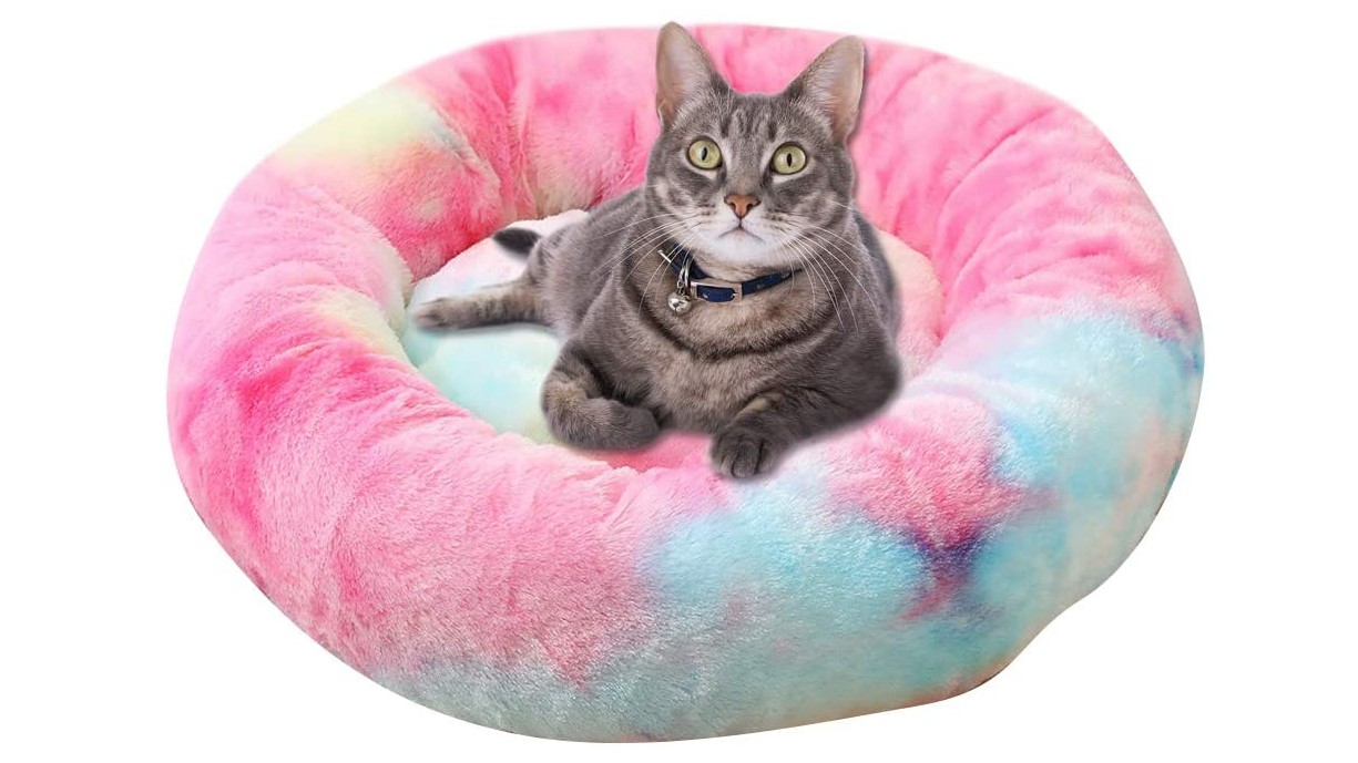 Best cat sofa: Six places for your kitty to sit pretty | PetsRadar
