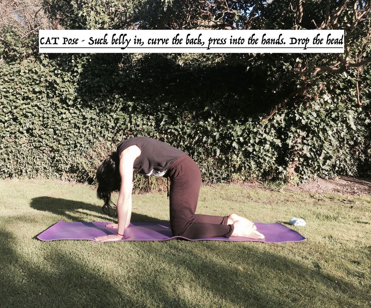 The beginners guide to heavy metal yoga: 11 yoga poses to get you ...