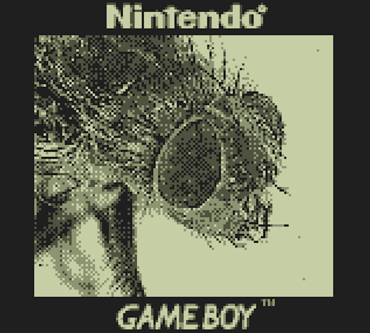 This 2-bit GameBoy Camera can shoot pixelated images of the moon ...