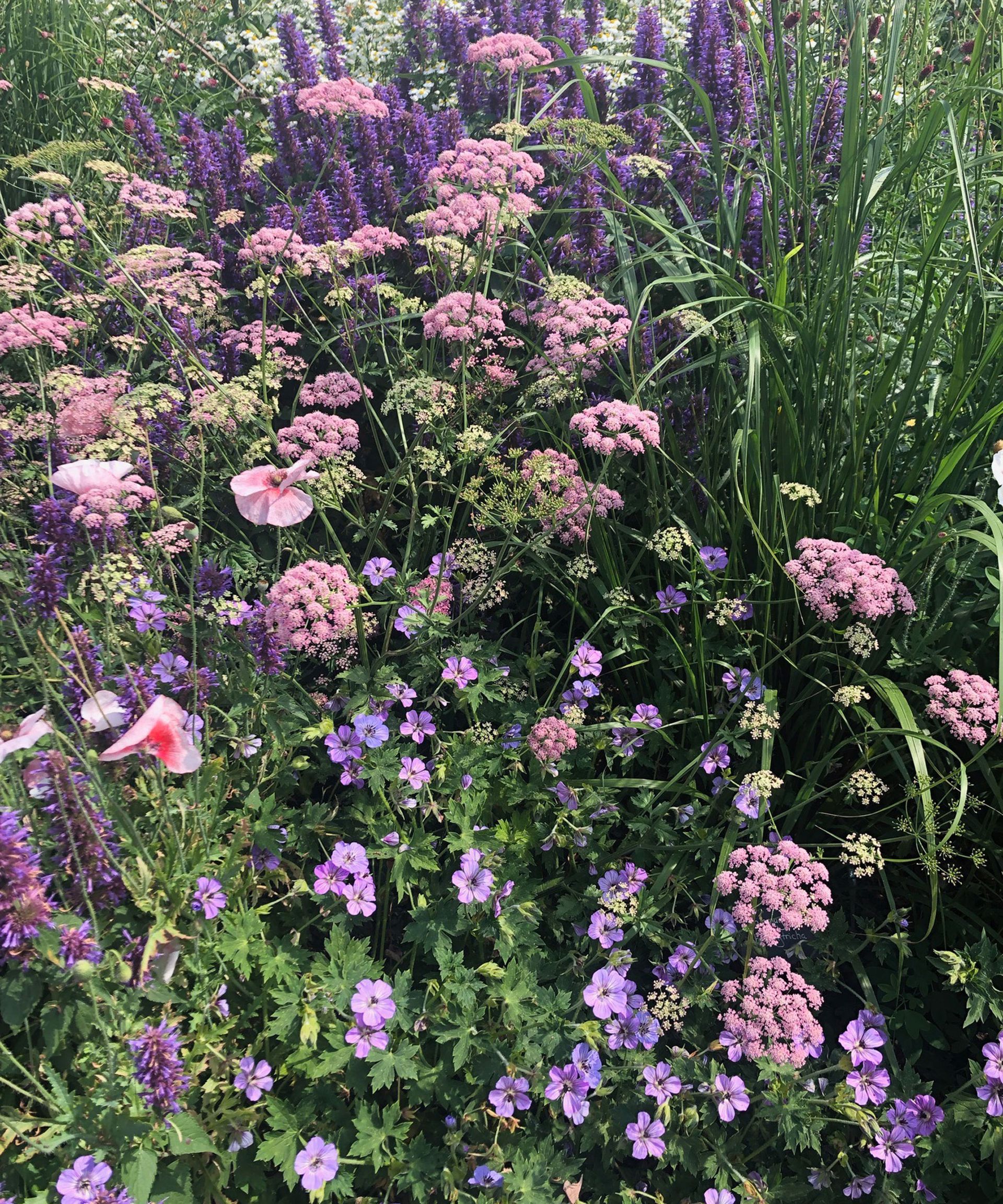 Garden color schemes: how to use color in the garden | Homes and Gardens