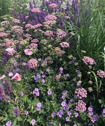 Garden color schemes: how to use color in the garden | Homes and Gardens