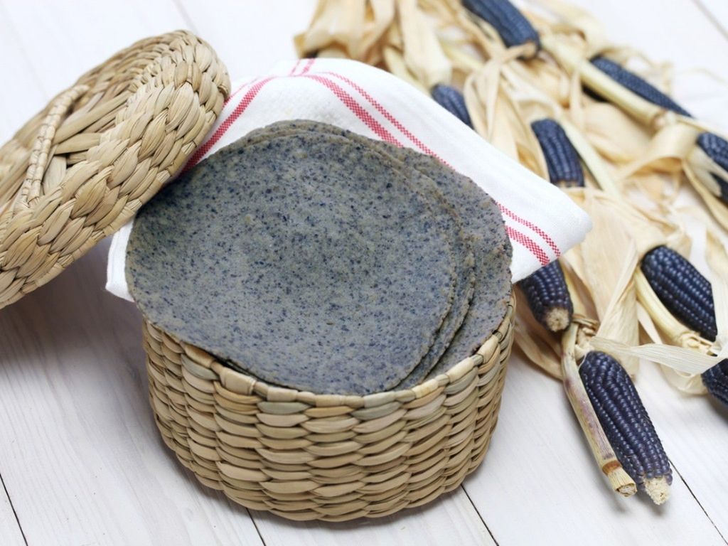 Growing Blue Corn For Cooking - How To Make Blue Corn Tortillas ...